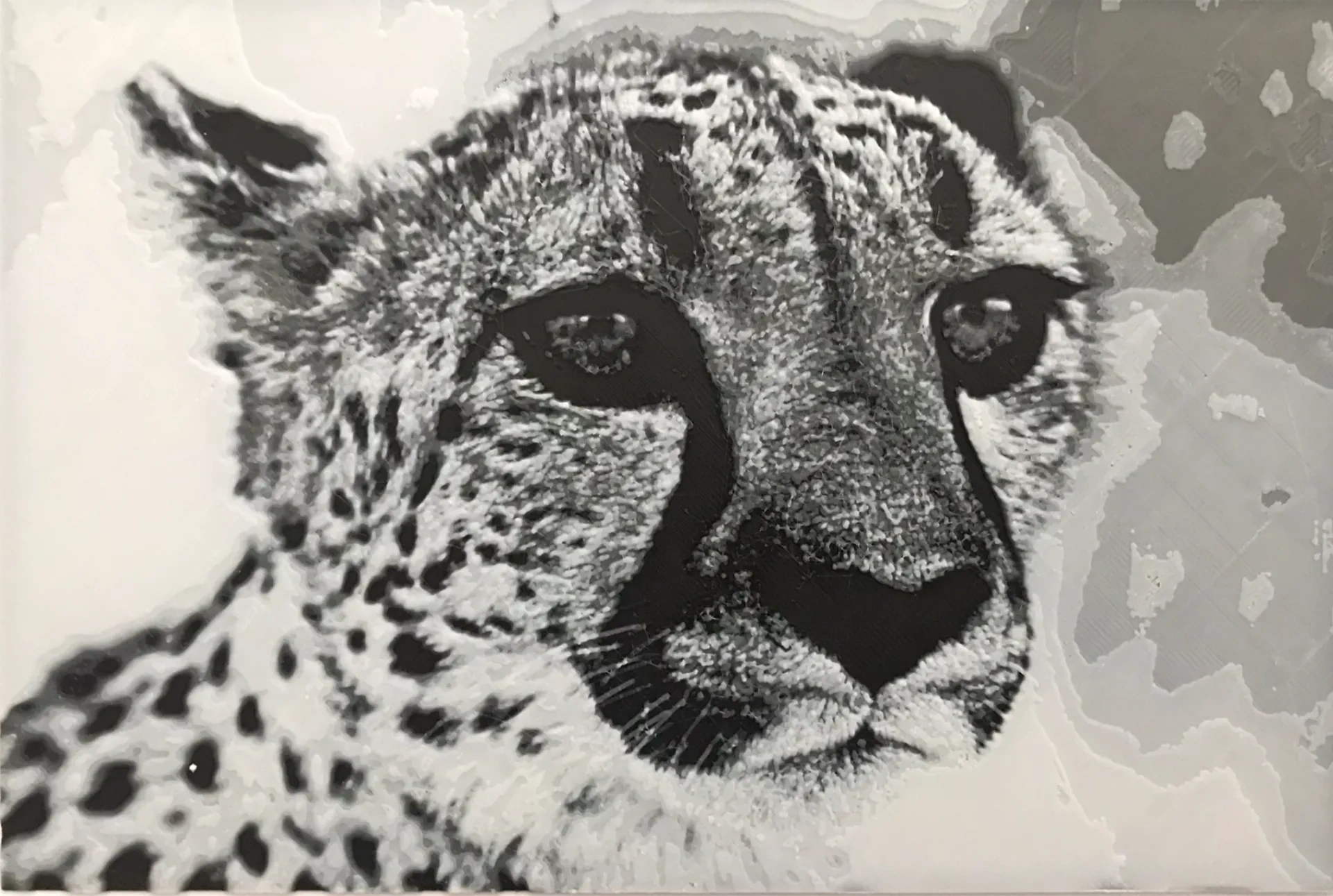 豹 来自 Sacki - MakerWorld