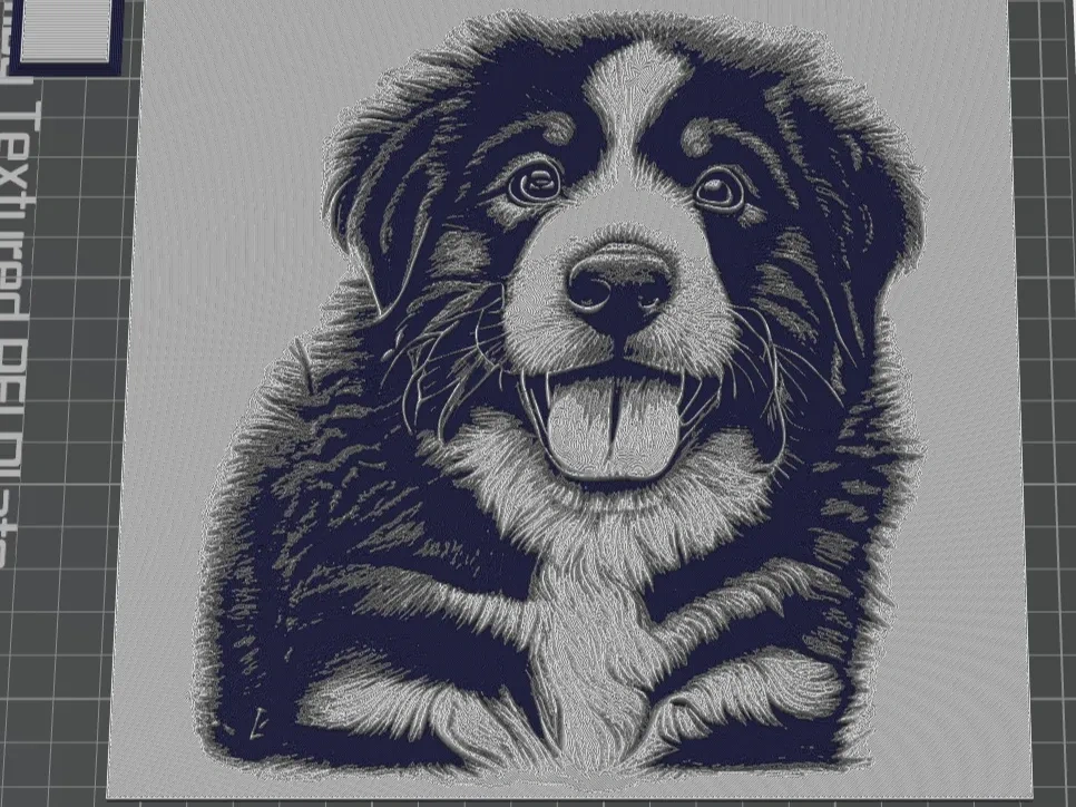 伯恩山犬 hueforge 来自 seb58 - MakerWorld