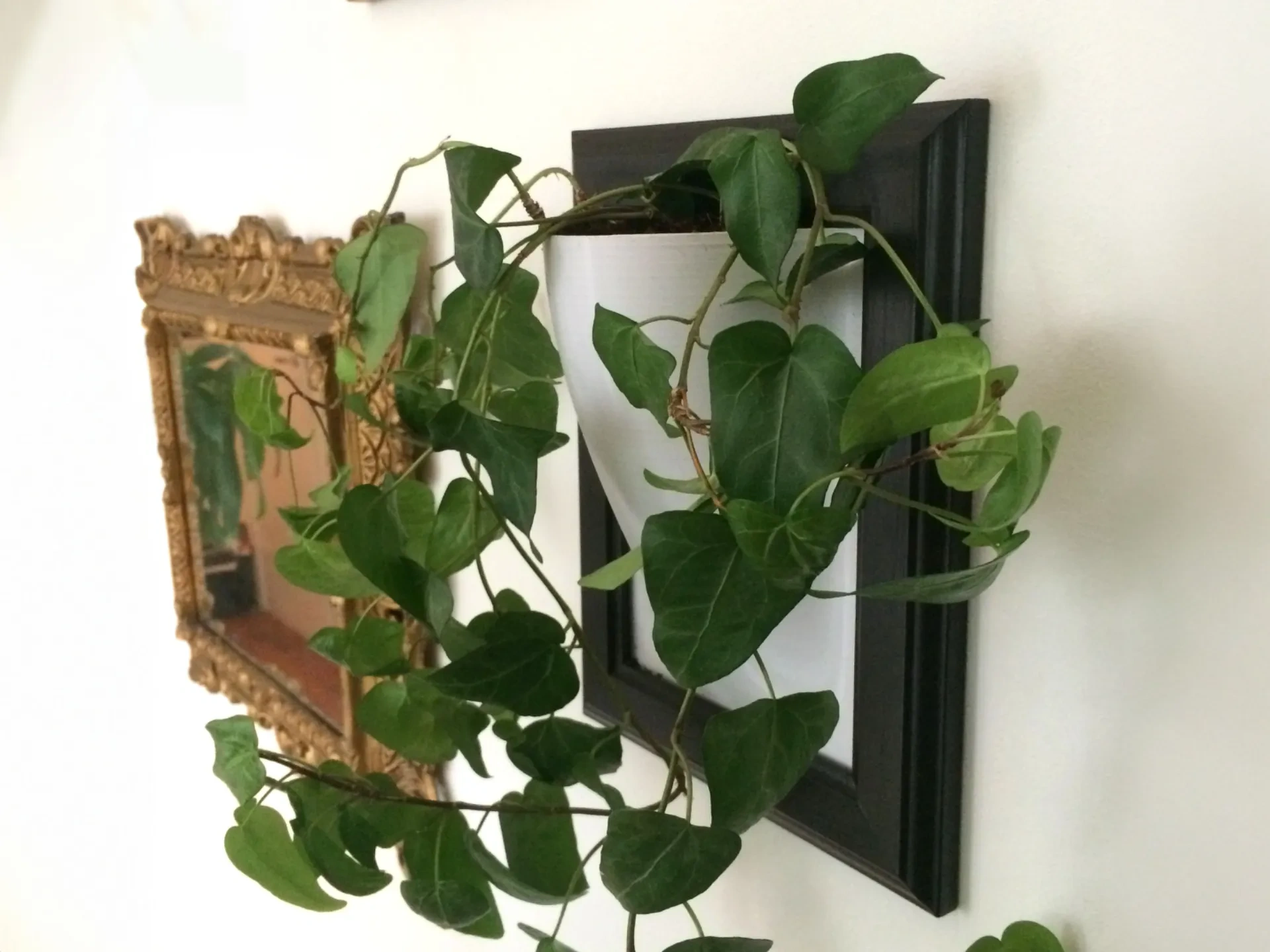 Wall Frame Planter 来自 Third Toe Creations - MakerWorld