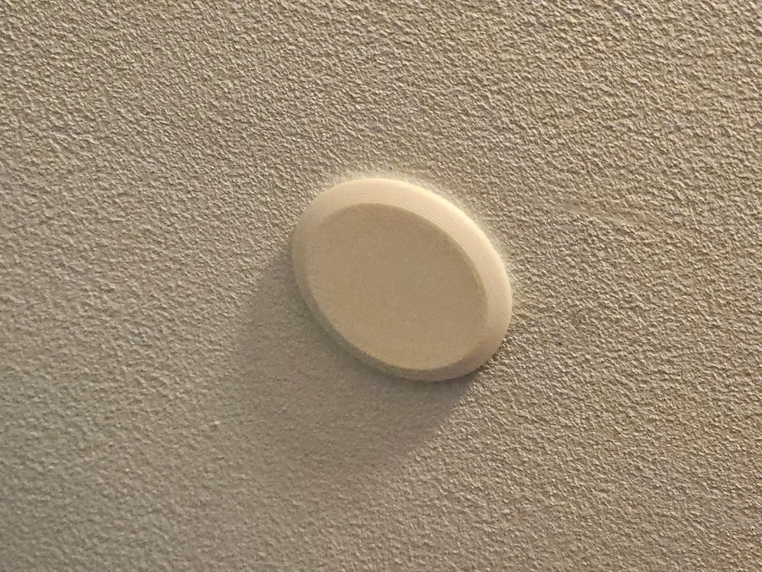 Wall hole cover Ø30mm 来自 BluExEvo - MakerWorld