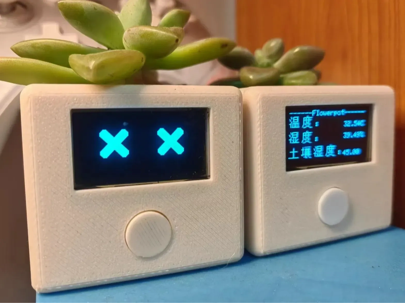 AI花盆 来自 JasonYANG170 MakerWorld：免费下载 3D 模型