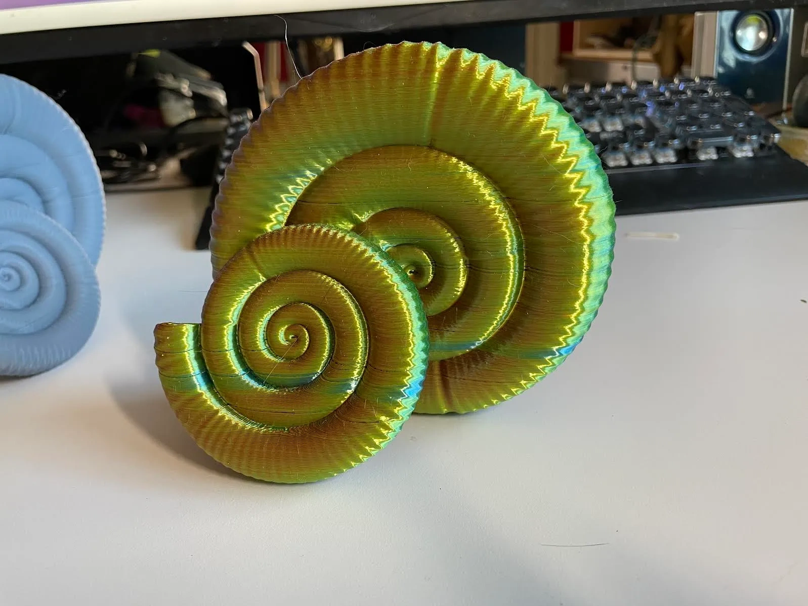 菊石 来自 Auntie Fa - MakerWorld