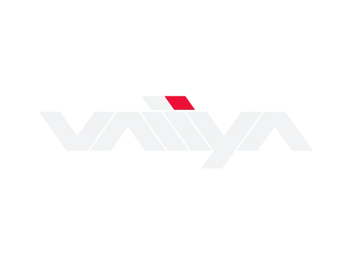 Vaiiya keychain 来自 XpSkip - MakerWorld