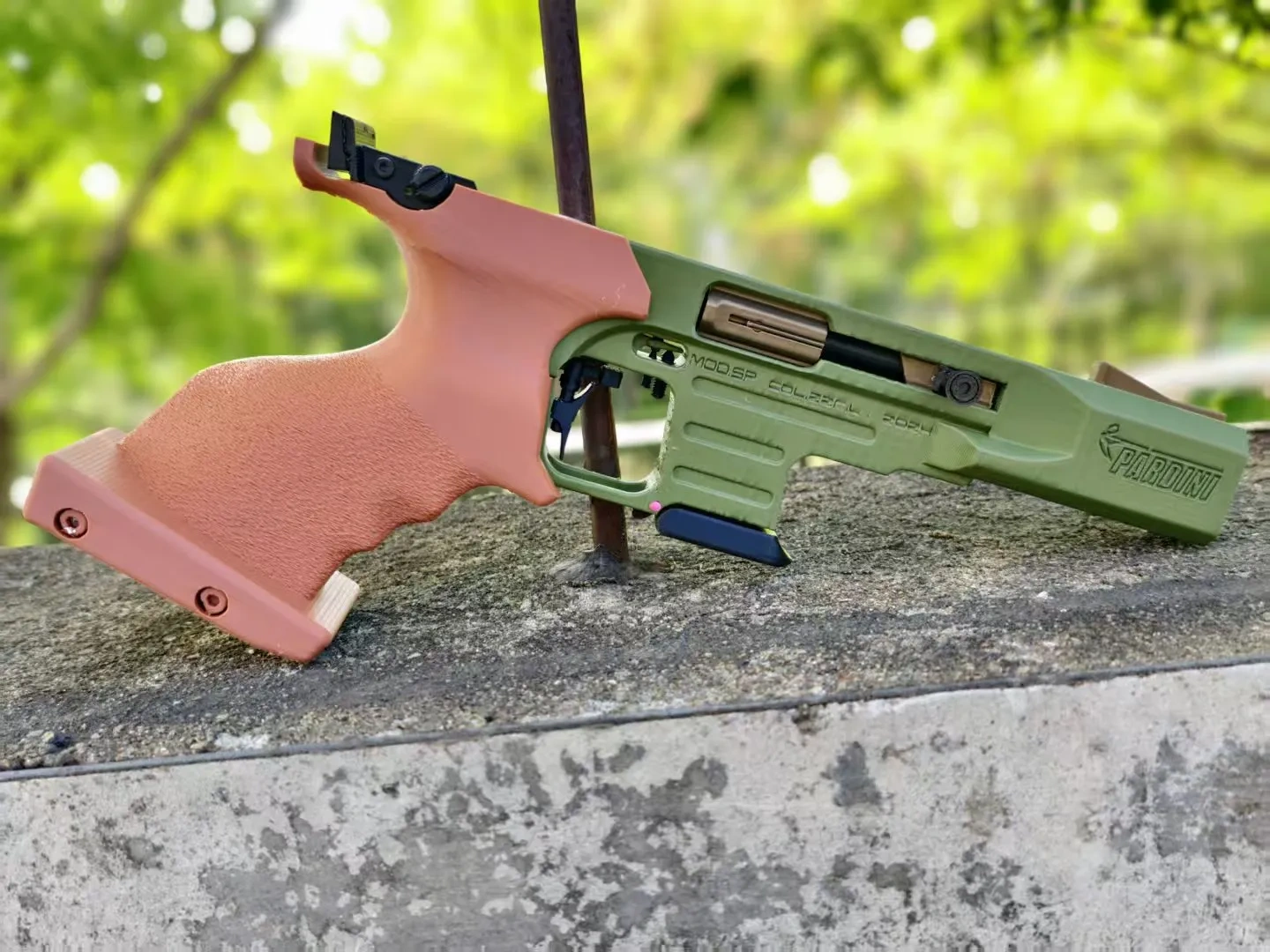 Pardini SP22 运动手枪 (不可移动或发射) - 免费 3D 打印模型 - MakerWorld