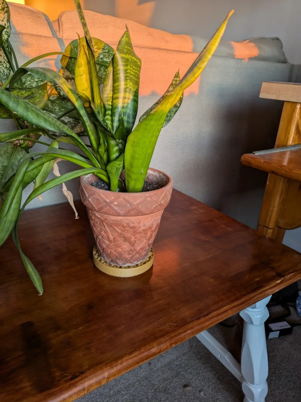 Gyroid 植物托盘或杯垫 – 极简耗材 来自 dfost30 MakerWorld：免费下载 3D 模型