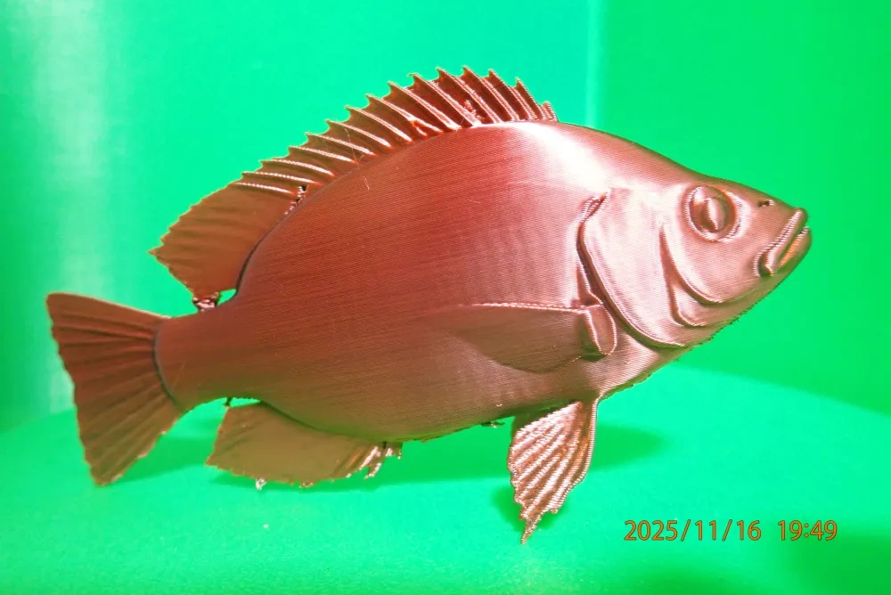 尼罗罗非鱼 (尼罗口孵非鲫) 来自 PortMatt MakerWorld：免费下载 3D 模型