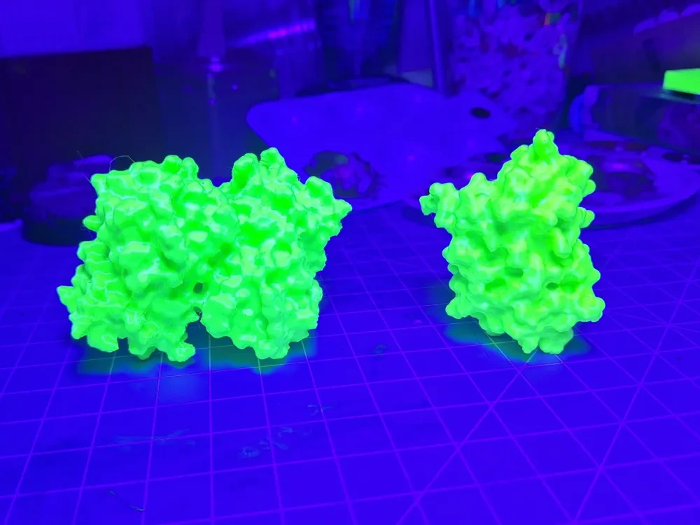 绿色荧光蛋白 (GFP) & SuperFolder GFP 来自 Printing Mantis MakerWorld：免费下载 3D 模型