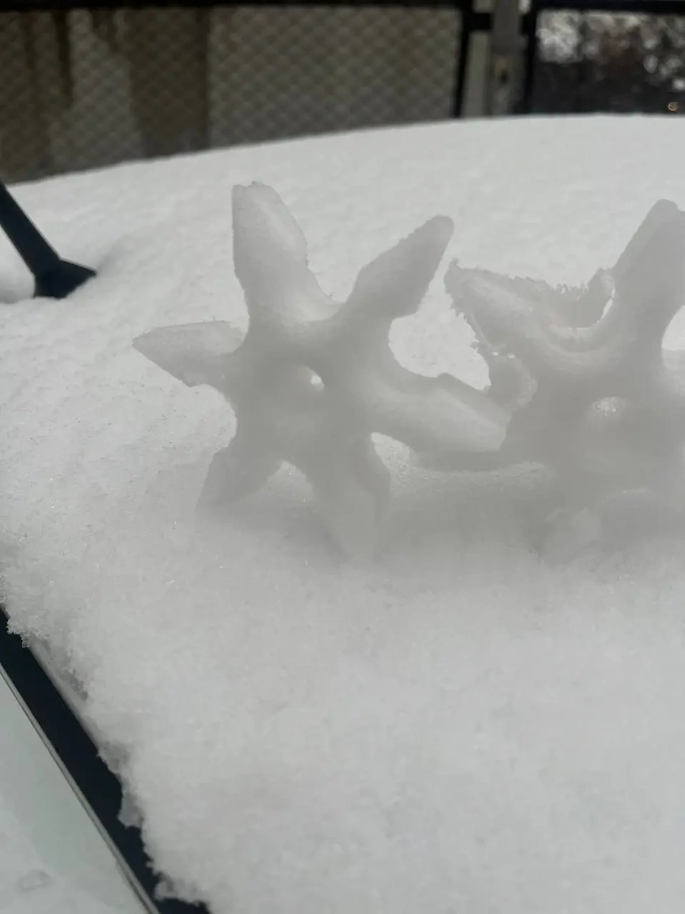 手里剑雪球夹 来自 lubko77 MakerWorld：免费下载 3D 模型