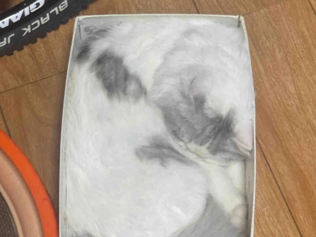 qwerty - 免费 3D 打印模型 - MakerWorld