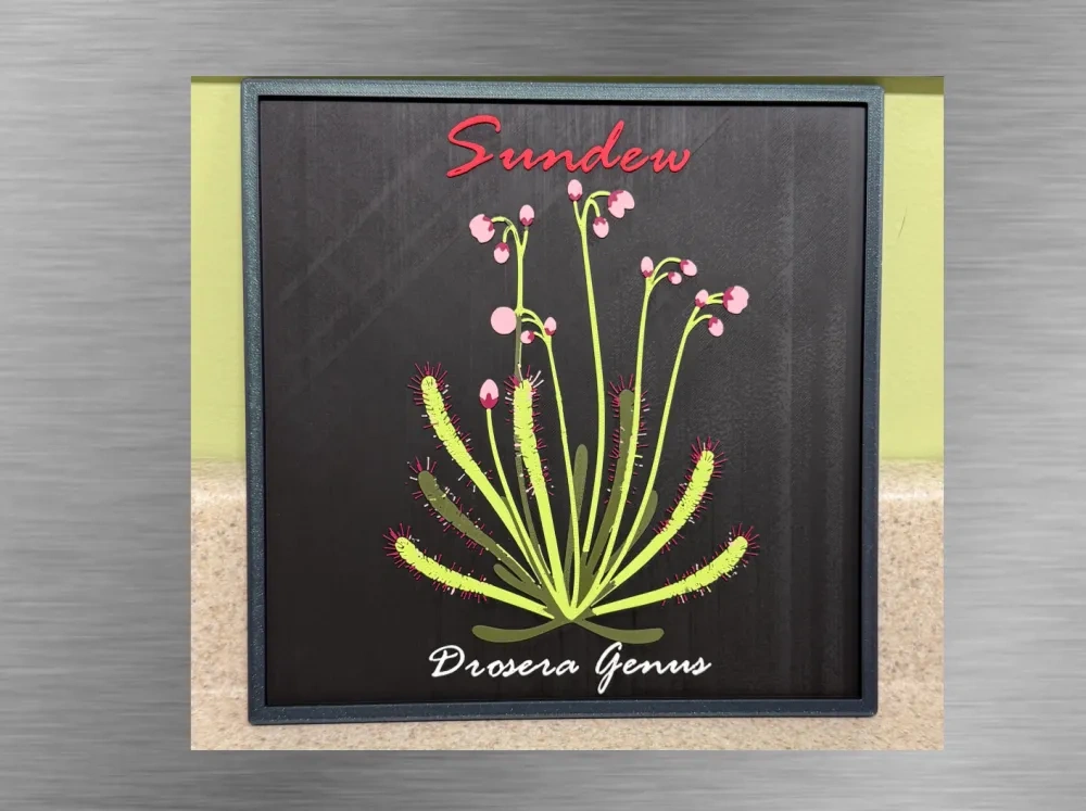 食肉植物 - 茅膏菜 墙面艺术 200x200 - 免费 3D 打印模型 - MakerWorld