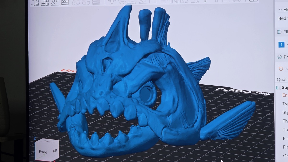 鱼骨架 - 兼容8毫米玻璃眼 - 免费 3D 打印模型 - MakerWorld