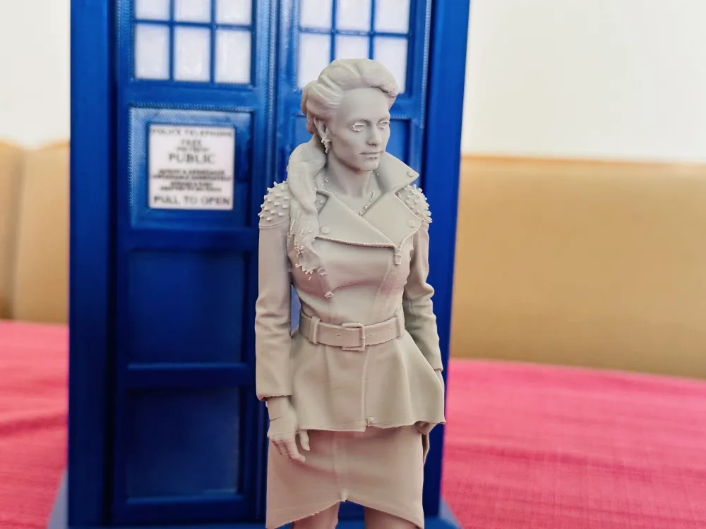The Rani (Archie Panjabi) 4. 人偶 – 1:10 比例 - 免费 3D 打印模型 - MakerWorld